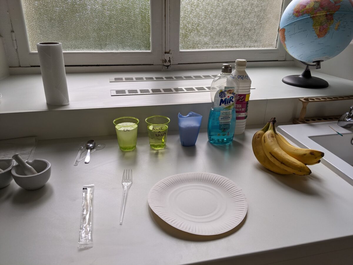 atelier sur l'extraction de l'ADN de la banane en cours de SVT ...
