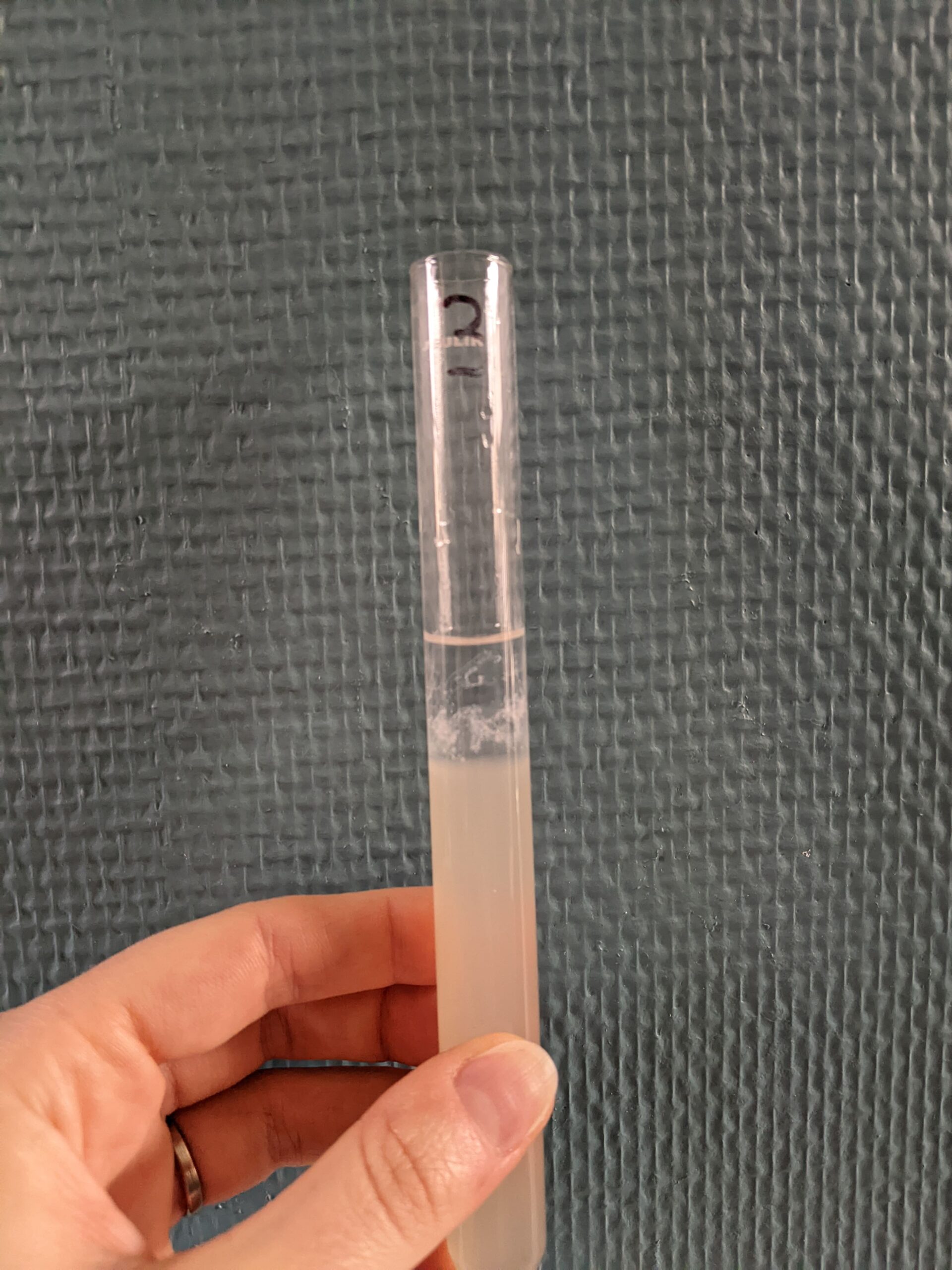 atelier sur l'extraction de l'ADN de la banane en cours de SVT ...